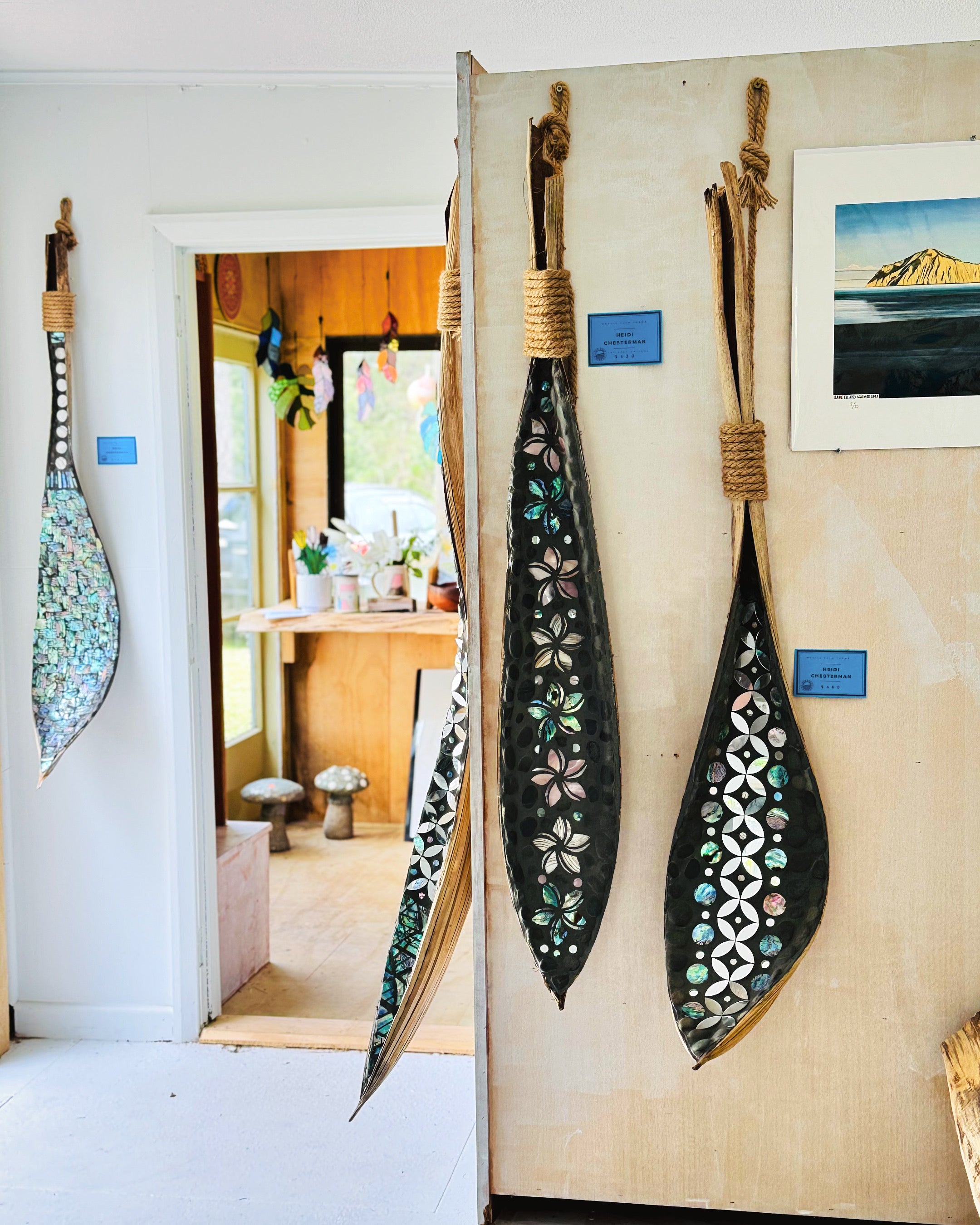 10 Year Anniversary Queen Palm Seed Pod Collection – Shingle & Shell